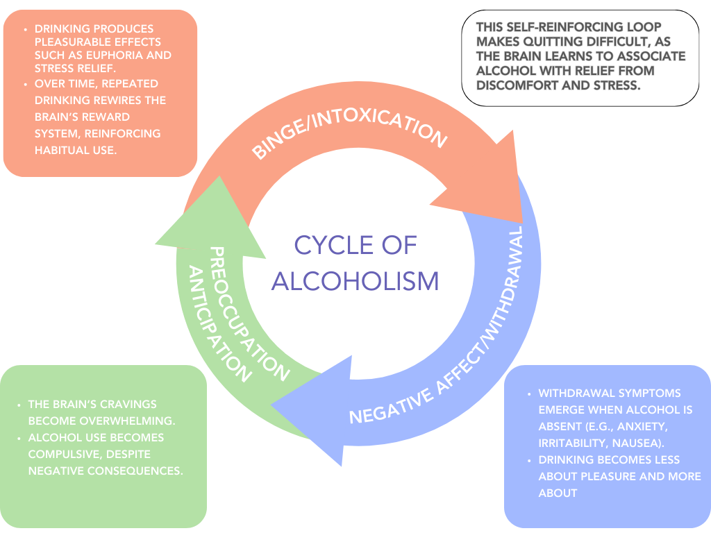 Alcoholism: Understanding the Risks & Finding the Best Recovery Options ...